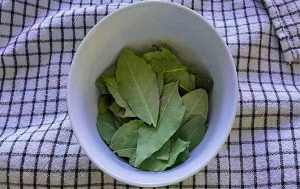 Here's What You Can Do if You Have Bay Leaves at Home