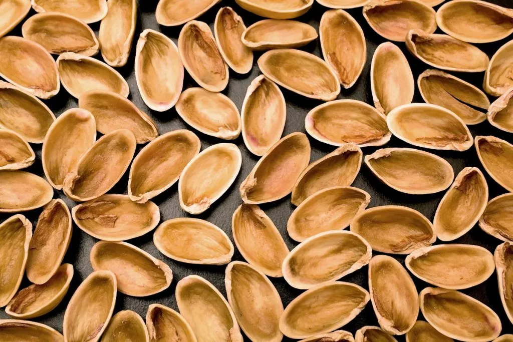 7 Unique Uses of Pistachio Shells at Home and in the Garden