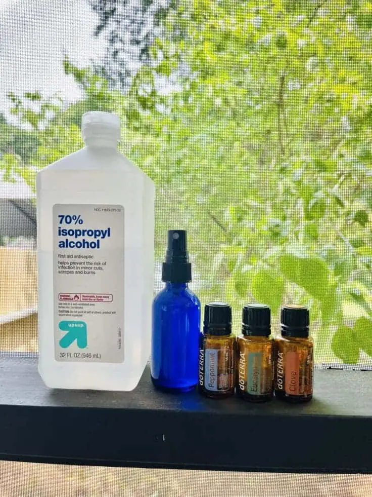 8 Powerful Natural Insecticides to Effectively Combat Your Stubborn ...