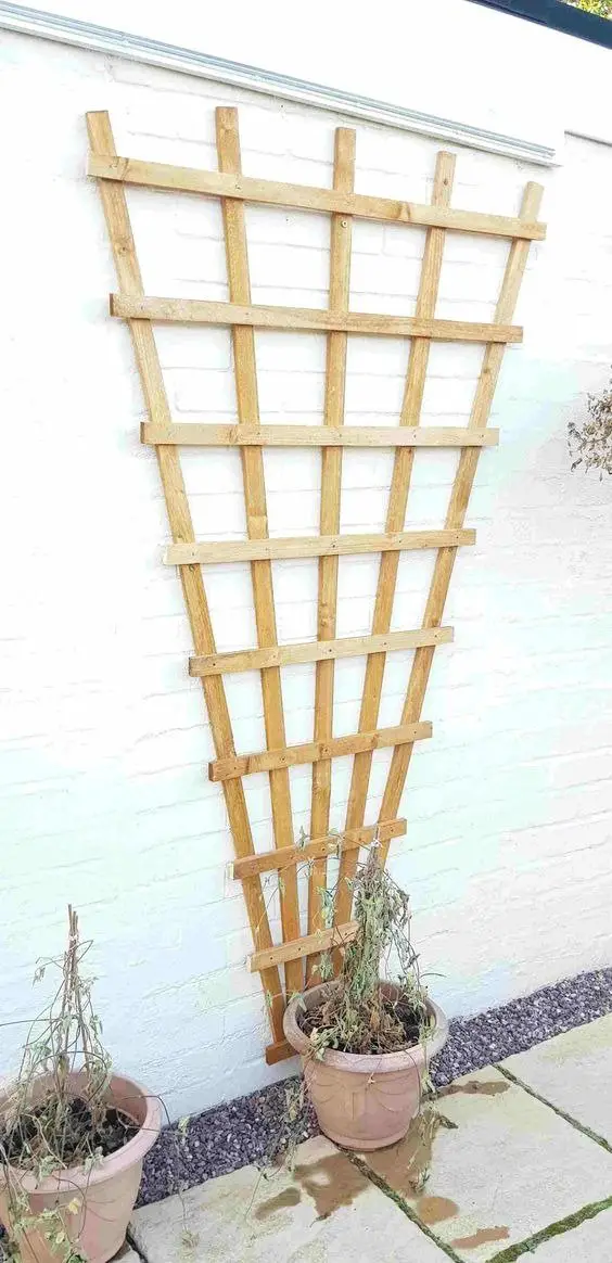 30 Creative DIY Garden Trellis Ideas For Vertical Gardening