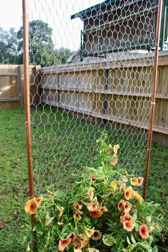 30 Creative DIY Garden Trellis Ideas For Vertical Gardening